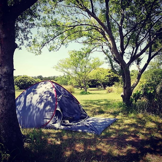 [幅200]ポップアップテント ショルダー収納バッグ付き UVカット | 【公式】LOWYA(ロウヤ) 家具･インテリアのオンライン通販