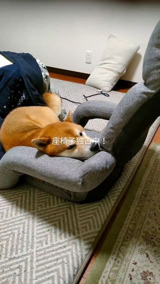 simon_aliceさんのみんなのインテリアコーディネート (18031815793850699) | ニトリネット【公式】 家具・インテリア通販